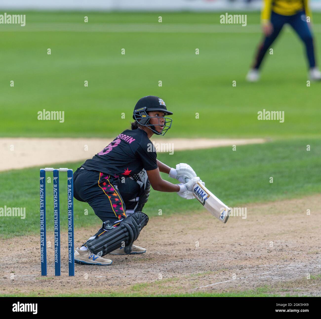 Davina Perrin of Central Sparks batting against South East Stars in a ...