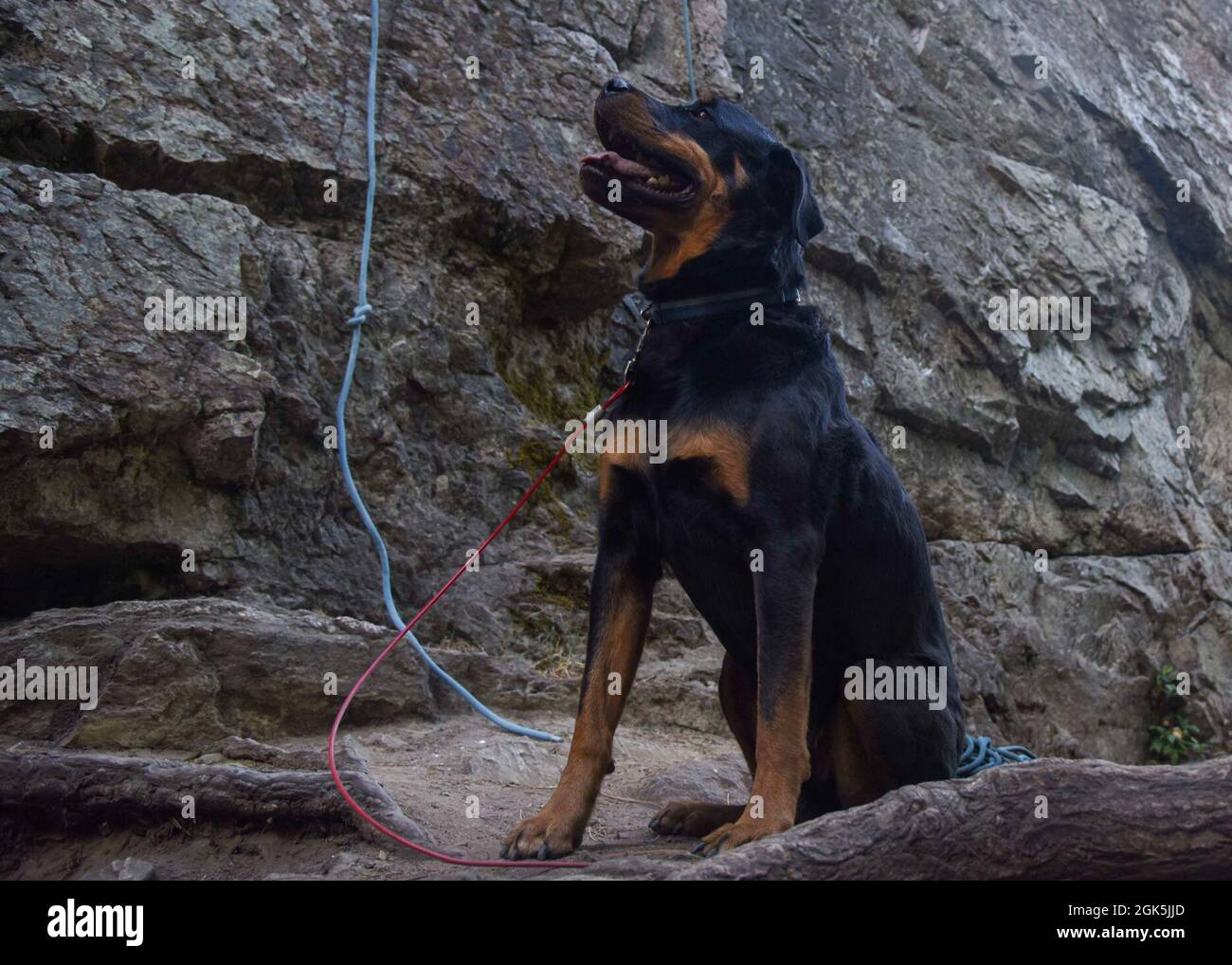 A dog watches as the Fairchild Climbers Club members climb at Q'emiln ...