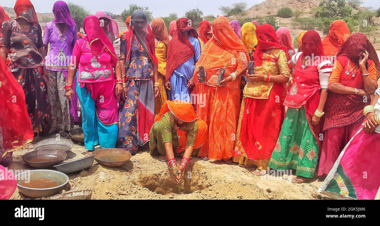Women plant a tree on Khejdli sacrifice day (Khejadi Balidan Diwas) in ...