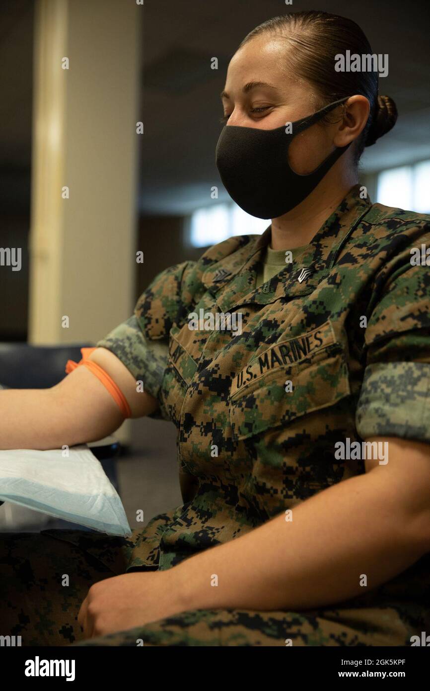 U.S. Marine Corps Sgt. Hailey Clay, a combat photographer with 3d ...