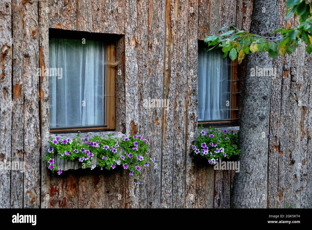 Windows of a cabin in the woods, romantic mountain construction Stock ...