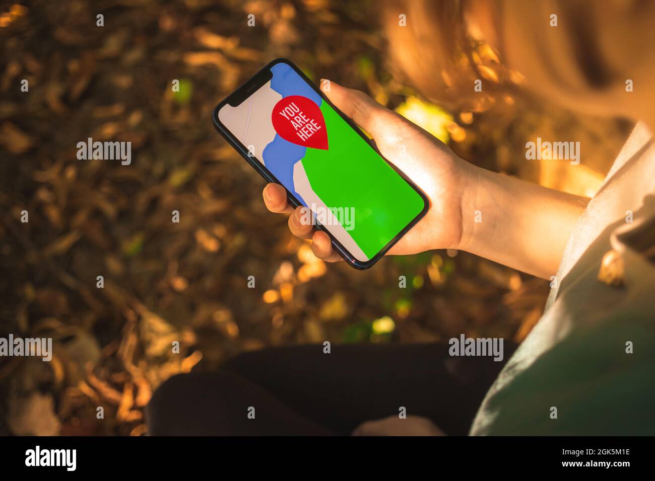 Woman hand holding mobile phone with the map in the forest, outdoor ...