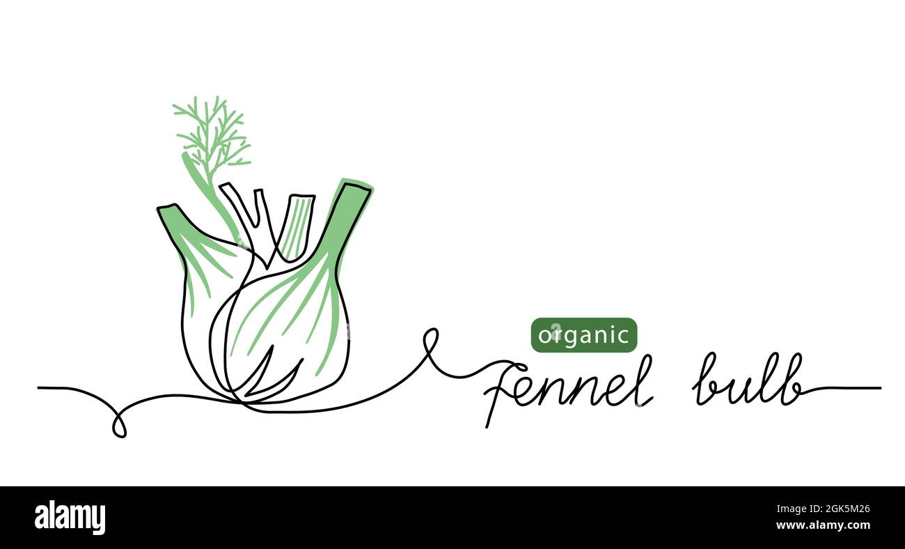 Fennel bulb simple vector illustration. One line art drawing with ...