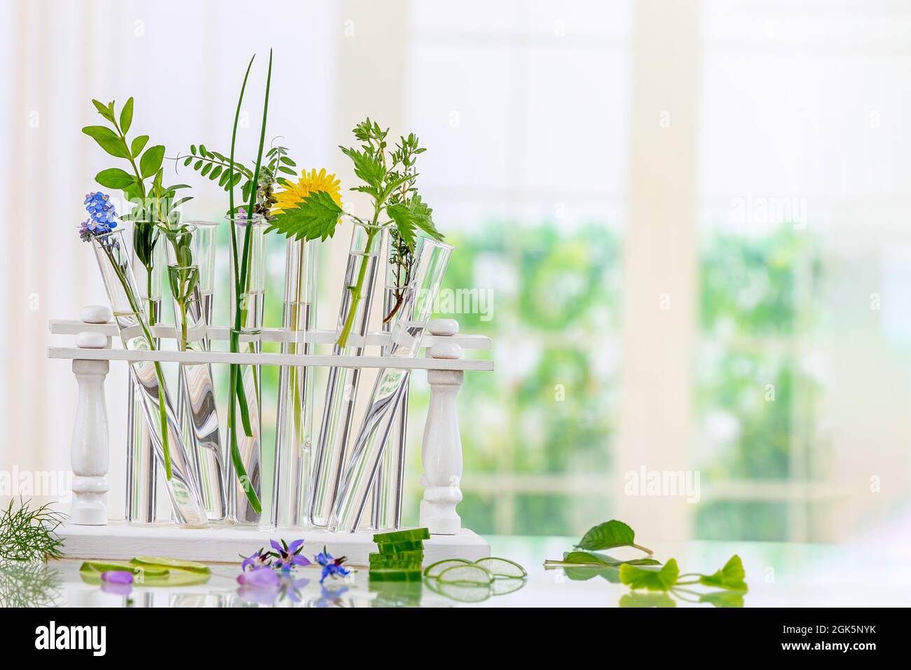 Panoramic image of a laboratory Fresh medicinal plant and Flowers ready ...