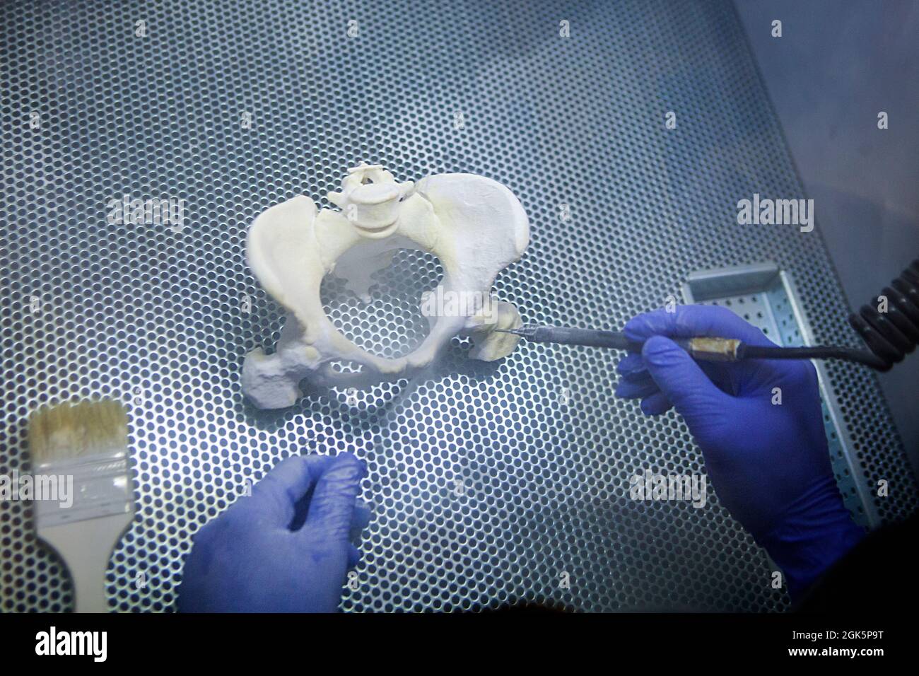 3D reconstruction from patient images, 3D printed pelvis Stock Photo ...