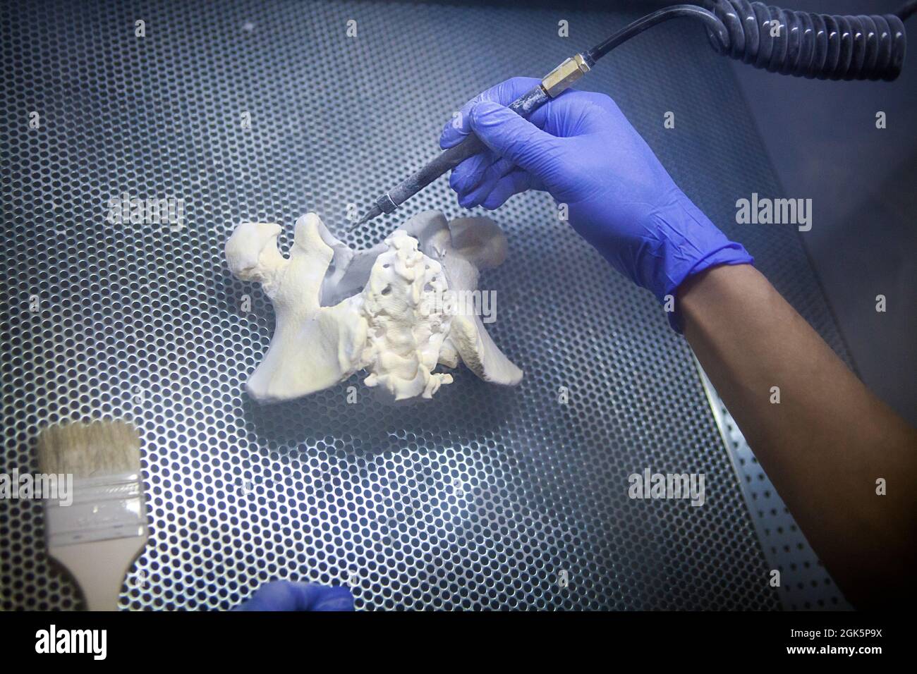 3D reconstruction from patient images, 3D printed pelvis Stock Photo ...