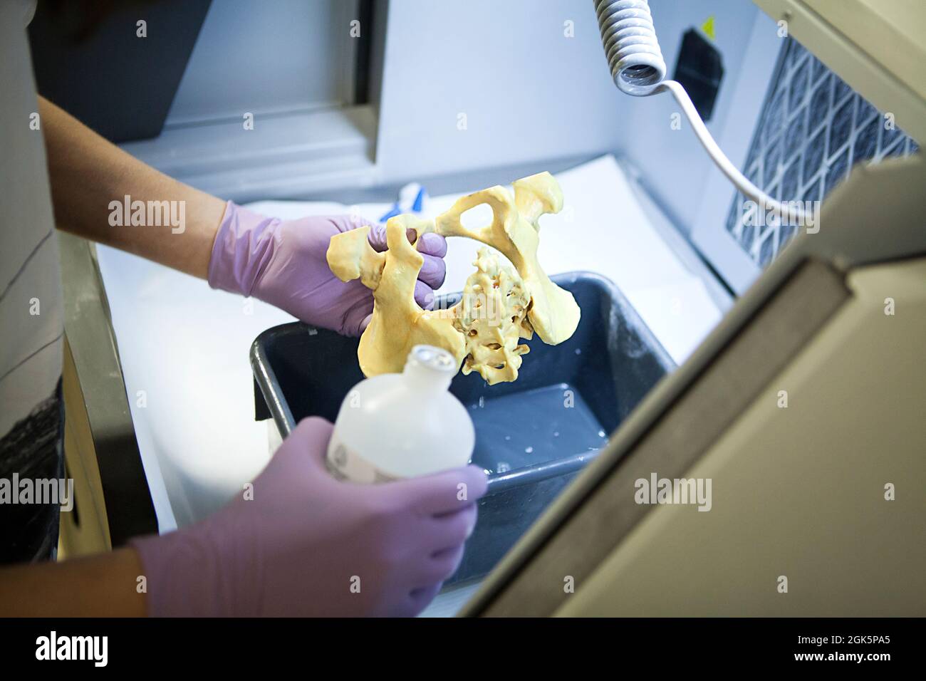 3D reconstruction from patient images, 3D printed pelvis Stock Photo ...