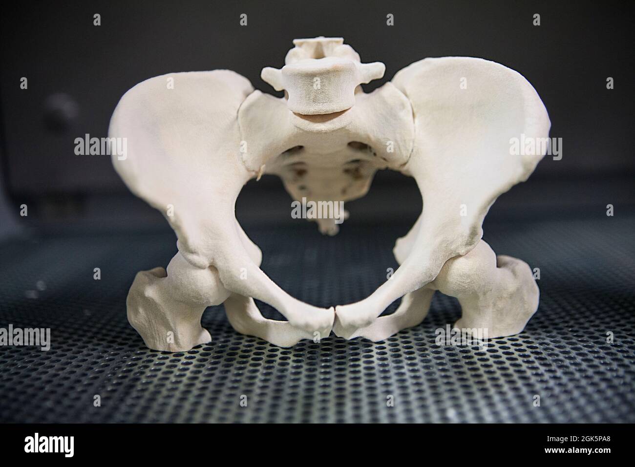 3D reconstruction from patient images, 3D printed pelvis Stock Photo ...