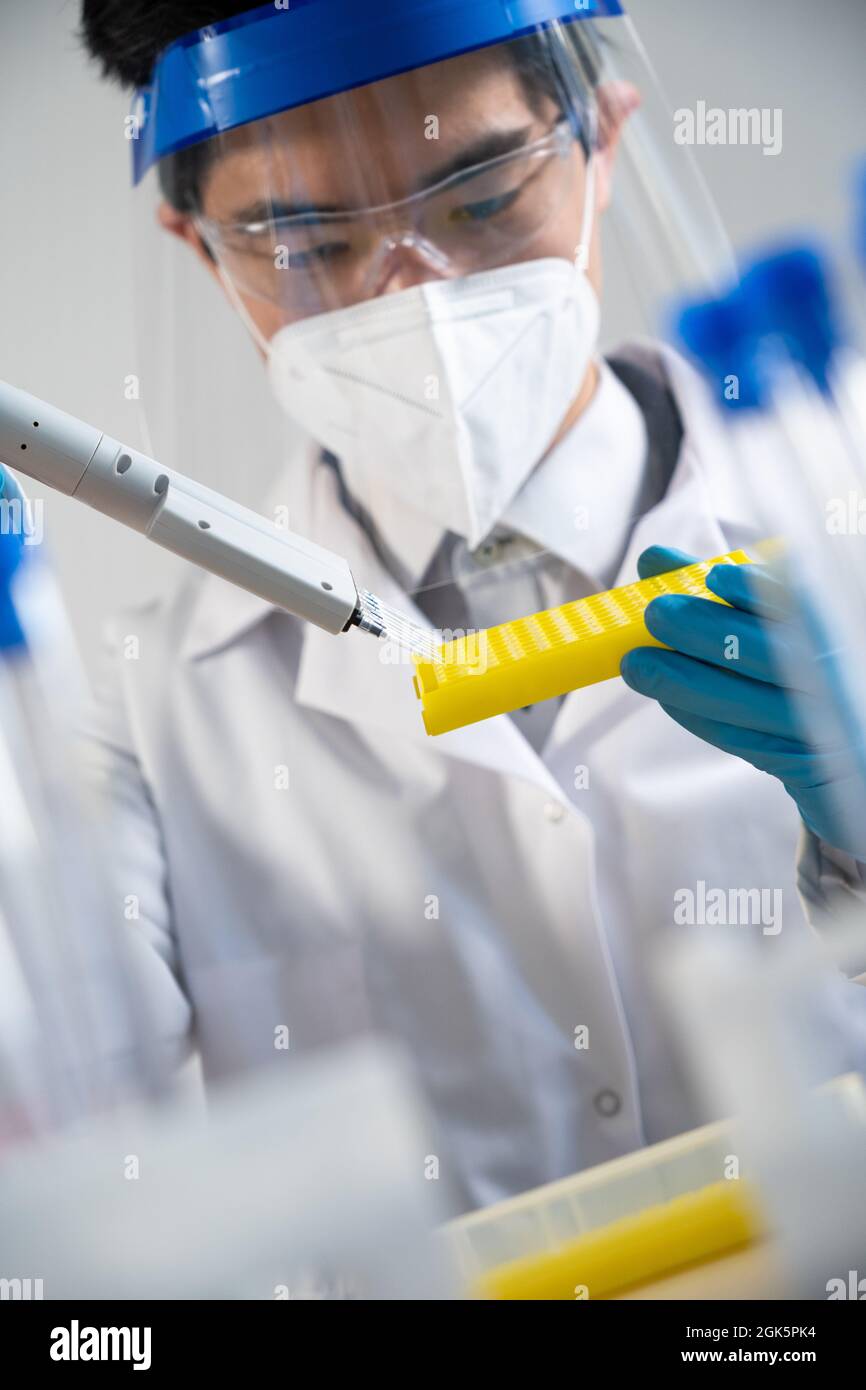 Laboratory assistant conducting experiments for laboratory research ...