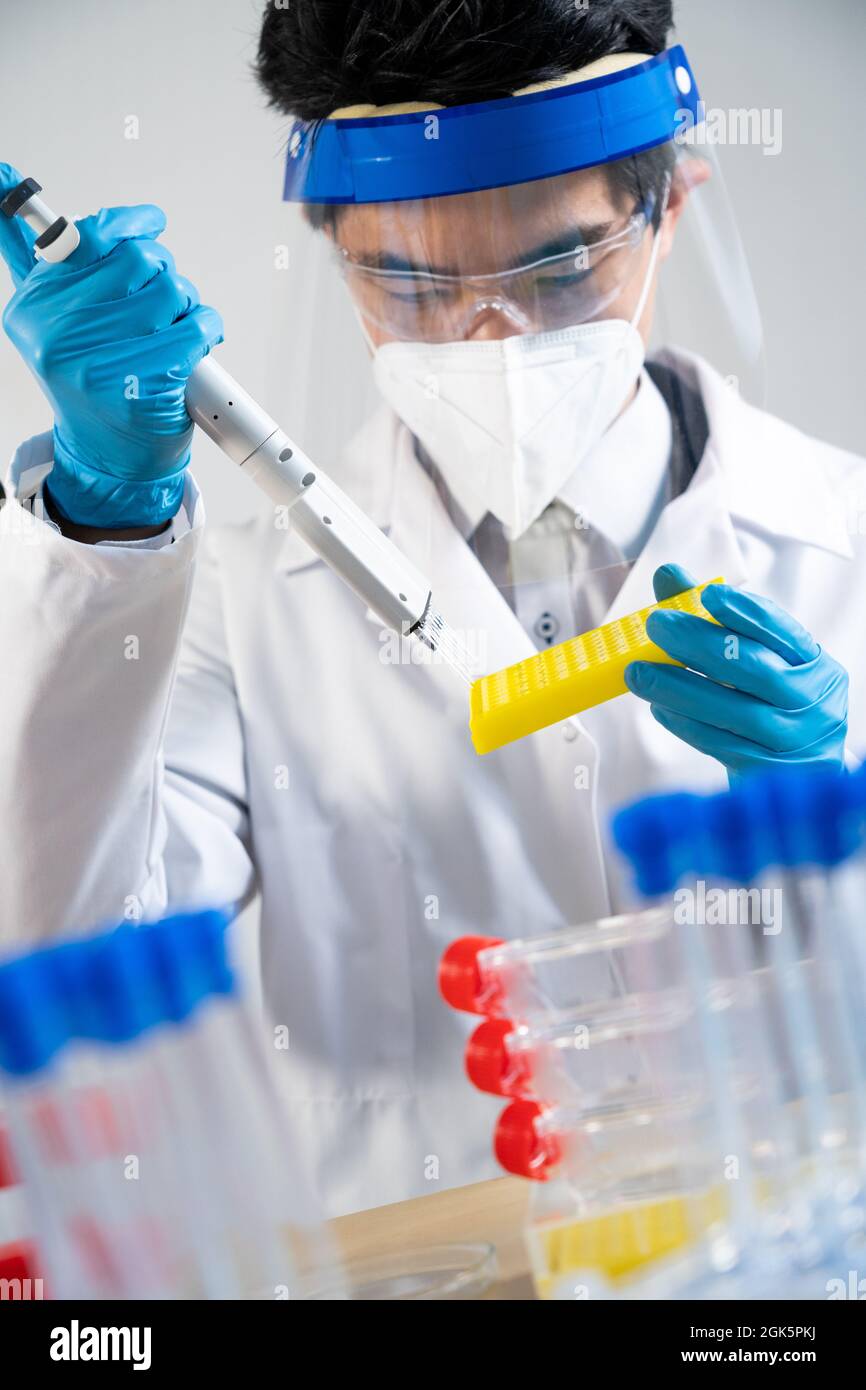 Laboratory assistant conducting experiments for laboratory research ...