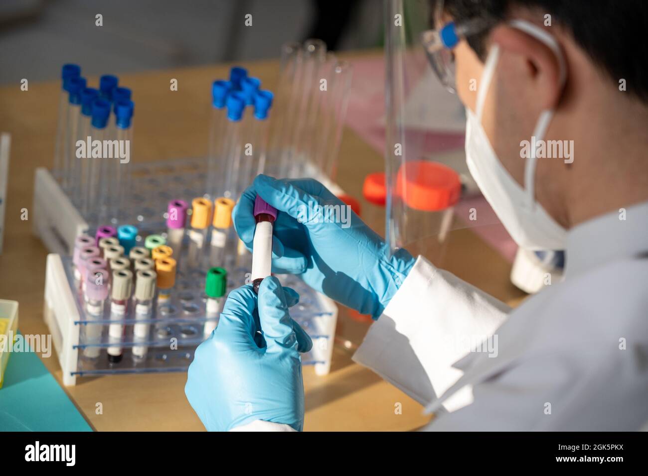 Laboratory technician performing blood tests in the laboratory Stock ...