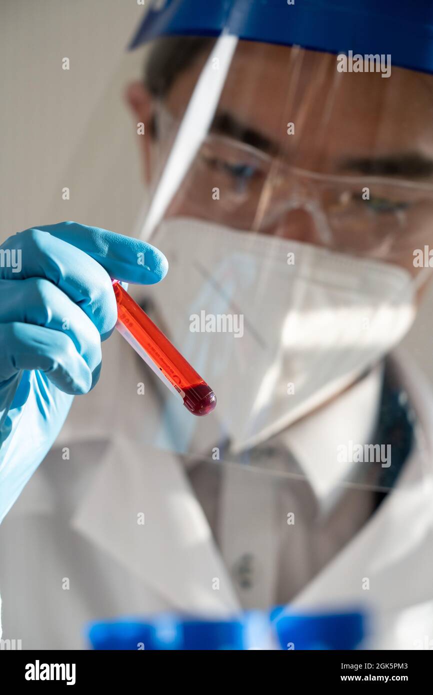 Laboratory technician performing blood tests in the laboratory Stock ...