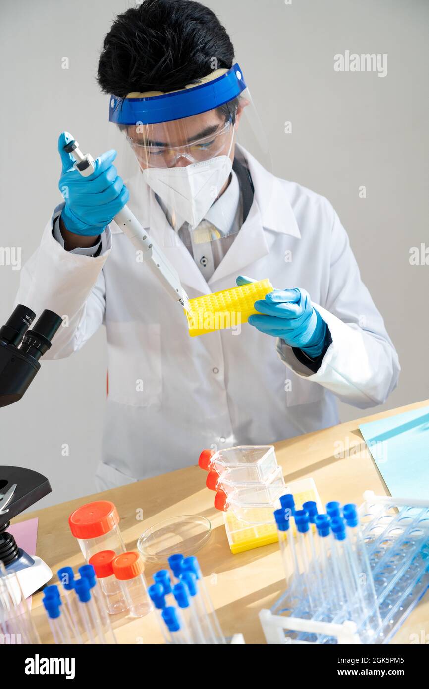 Laboratory assistant conducting experiments for laboratory research ...