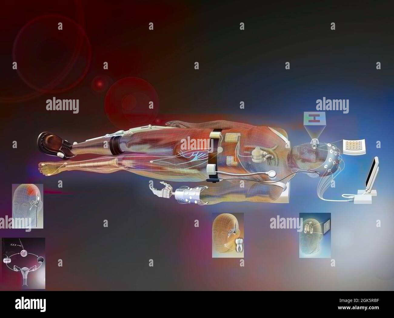 Human performance technology hi-res stock photography and images - Alamy