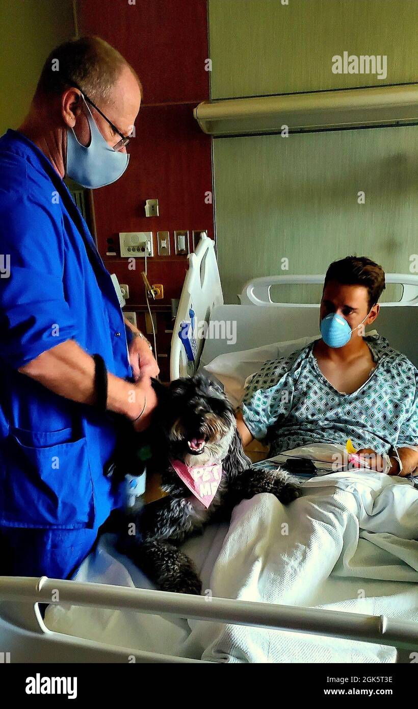 Martin Army Community Hospital's newest therapy dog Heidi and her ...