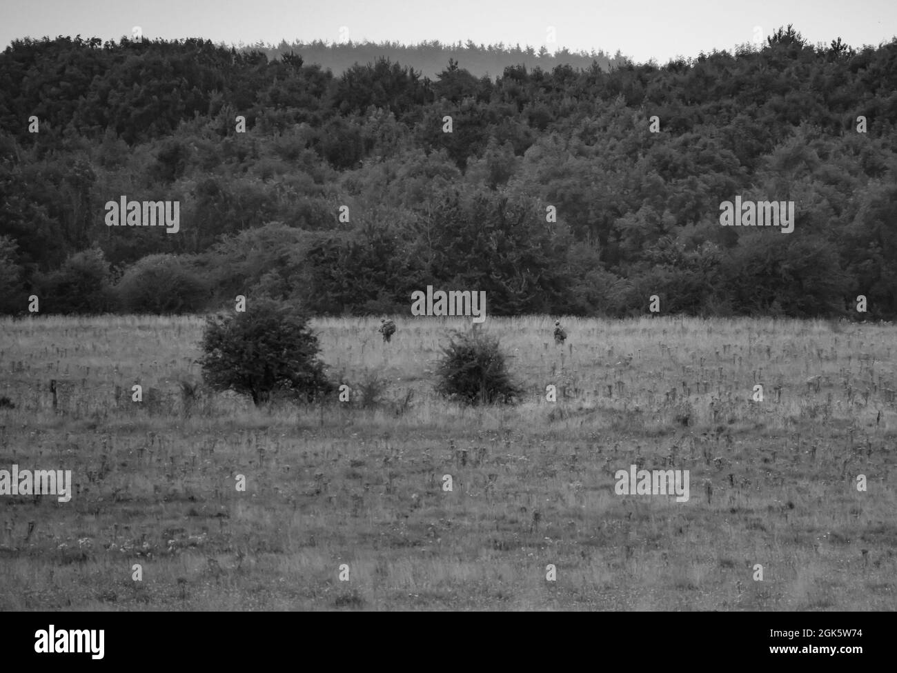 Military defence army forces hi-res stock photography and images - Alamy