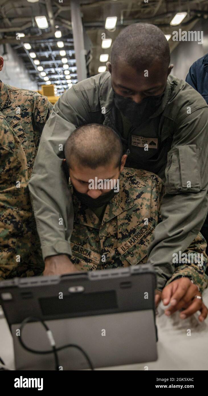 Kits nts hi-res stock photography and images - Alamy