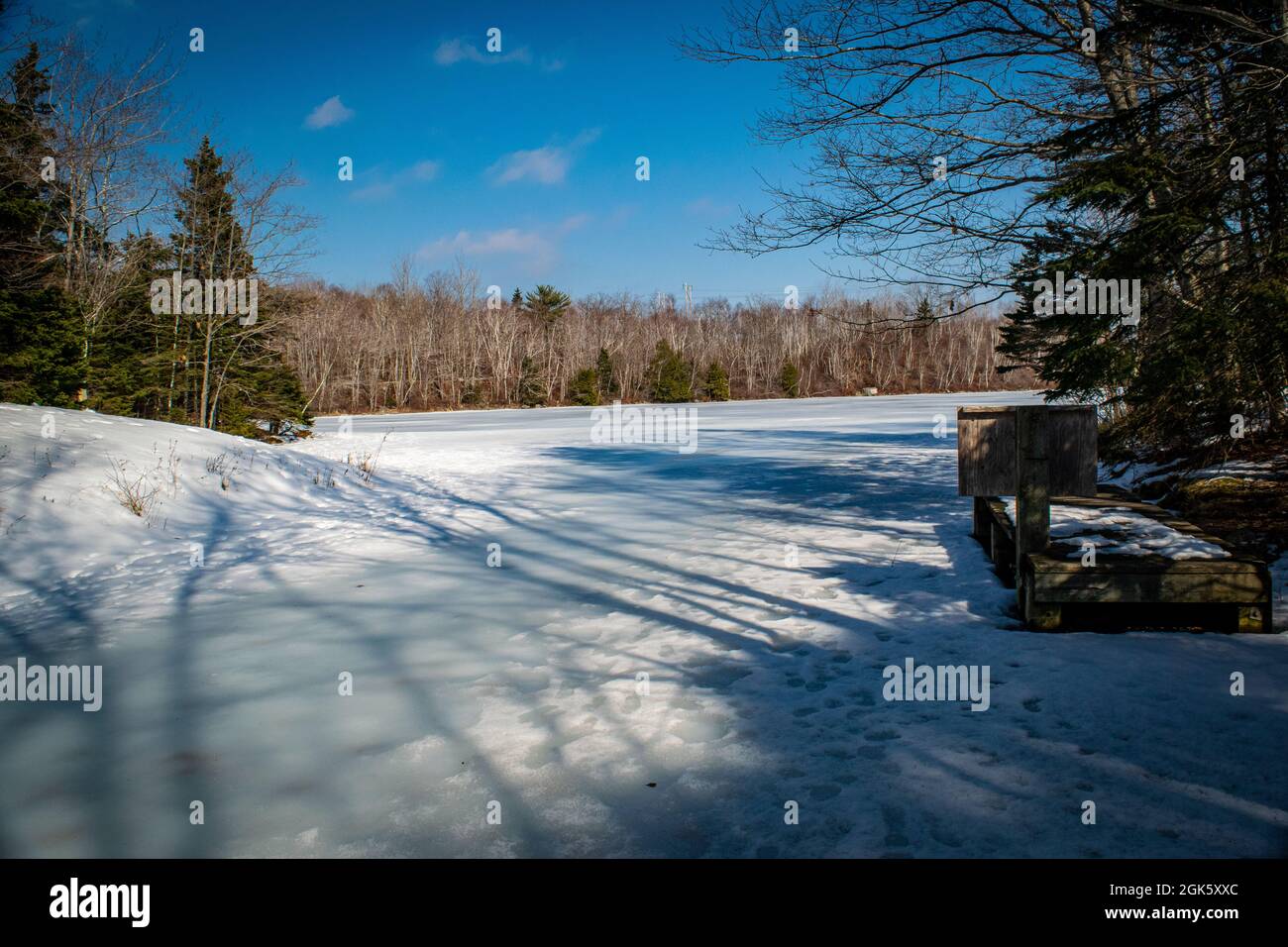 frozen over Lake Charles in the middle of winter Stock Photo - Alamy