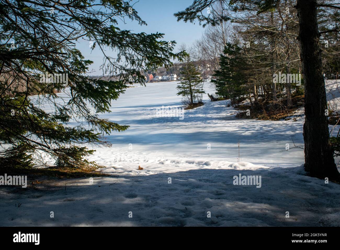 frozen over Lake Charles in the middle of winter Stock Photo - Alamy