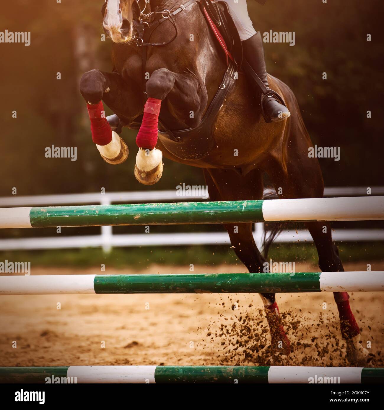 Equestrian sports jump jumps hi-res stock photography and images - Alamy