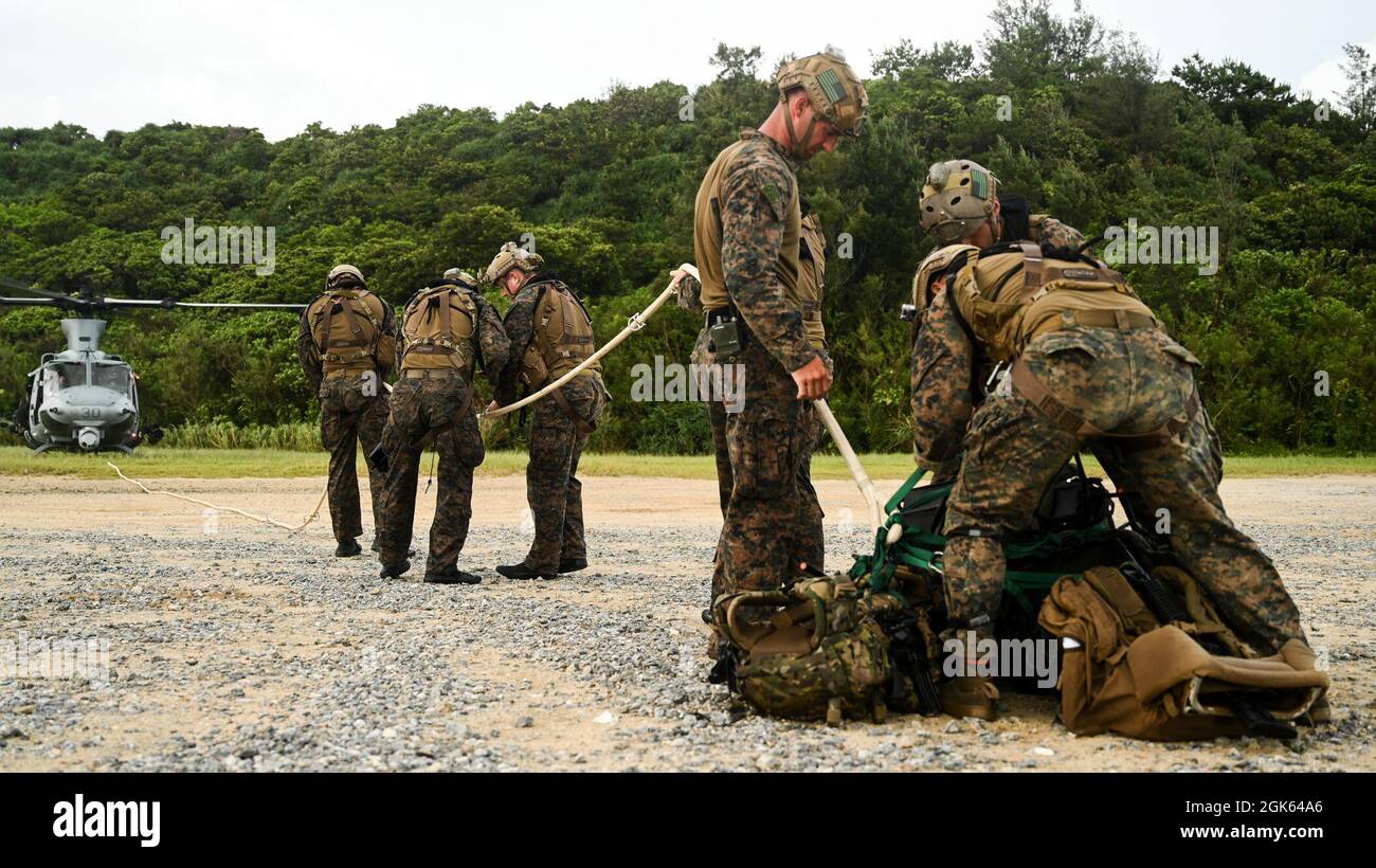 U.S. Marines with 3d Reconnaissance Battalion, 3d Marine Division ...