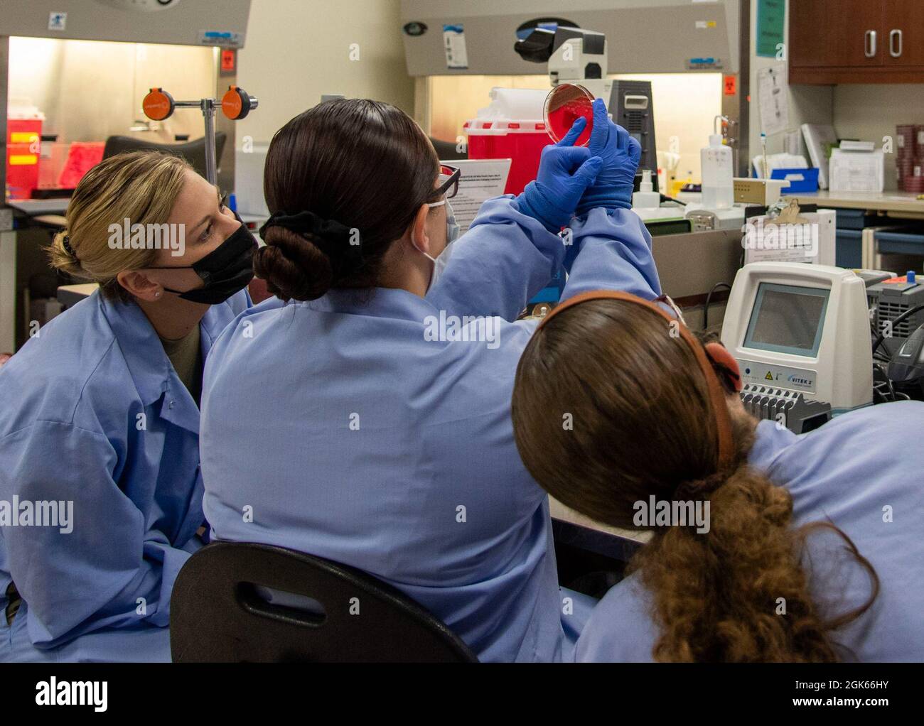 Surgical specimens hi-res stock photography and images - Alamy
