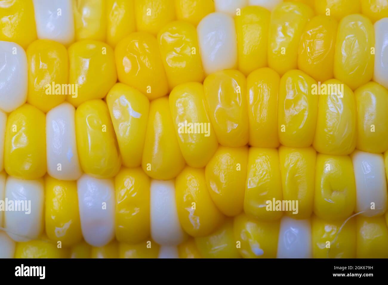 Texture of yellow boiled corn close up Stock Photo - Alamy