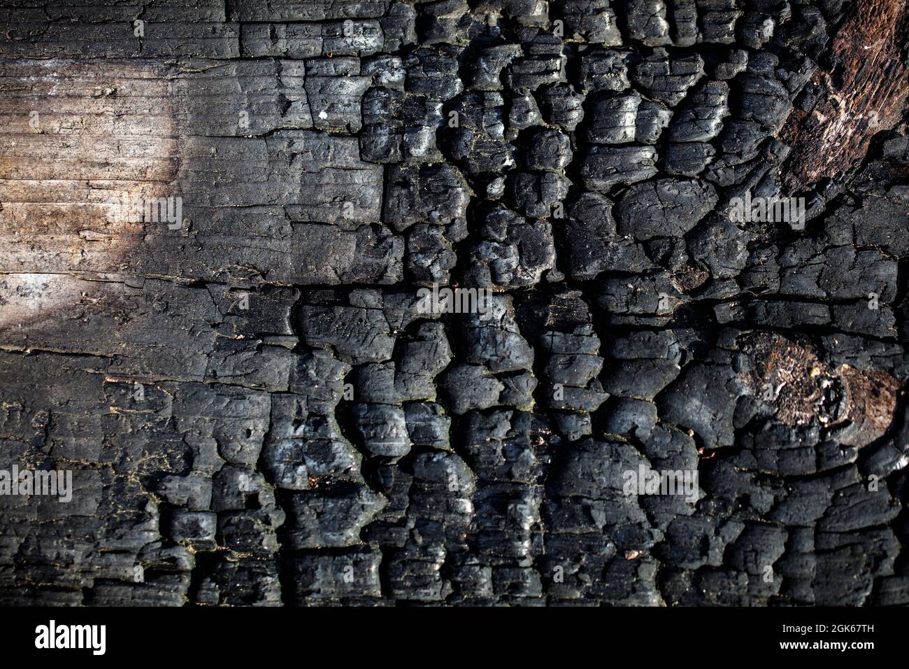 Burnt Texture
