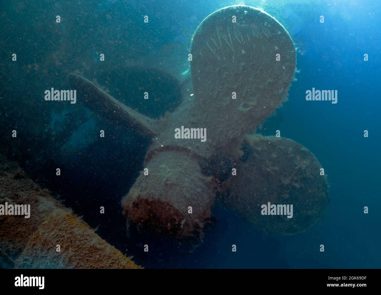 Diver ms zenobia shipwreck ms hi-res stock photography and images - Alamy