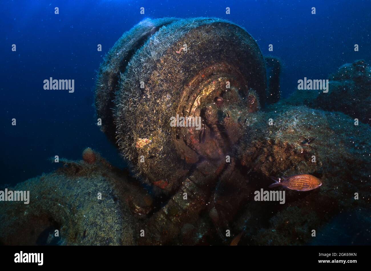 The zenobia ferry hi-res stock photography and images - Alamy