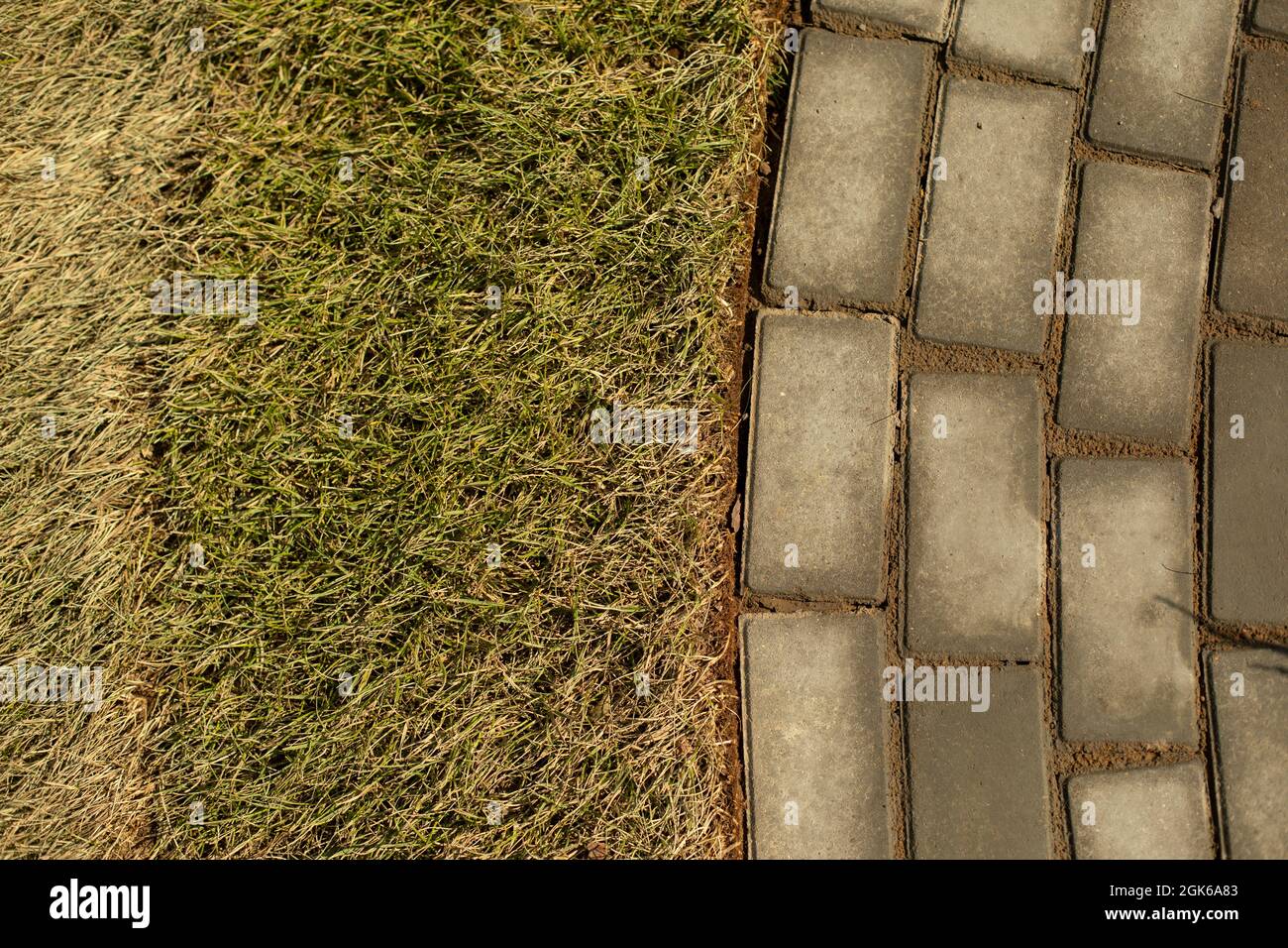 Lawn and tiles. The park is in the details. Pedestrian area. Lawn near ...