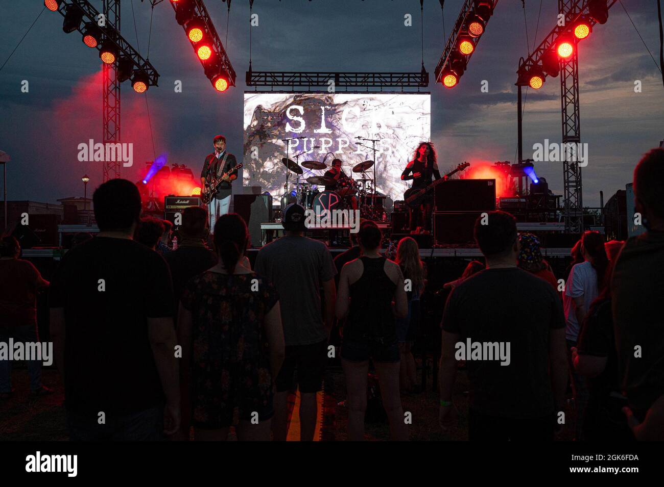 Sick puppies hi-res stock photography and images - Alamy