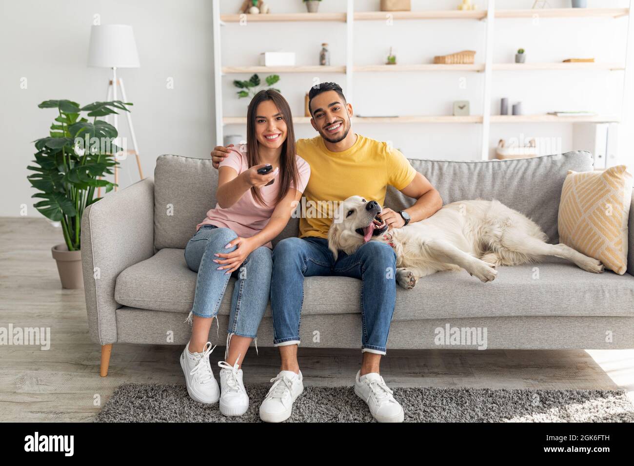 Labrador dog on couch hi-res stock photography and images - Alamy