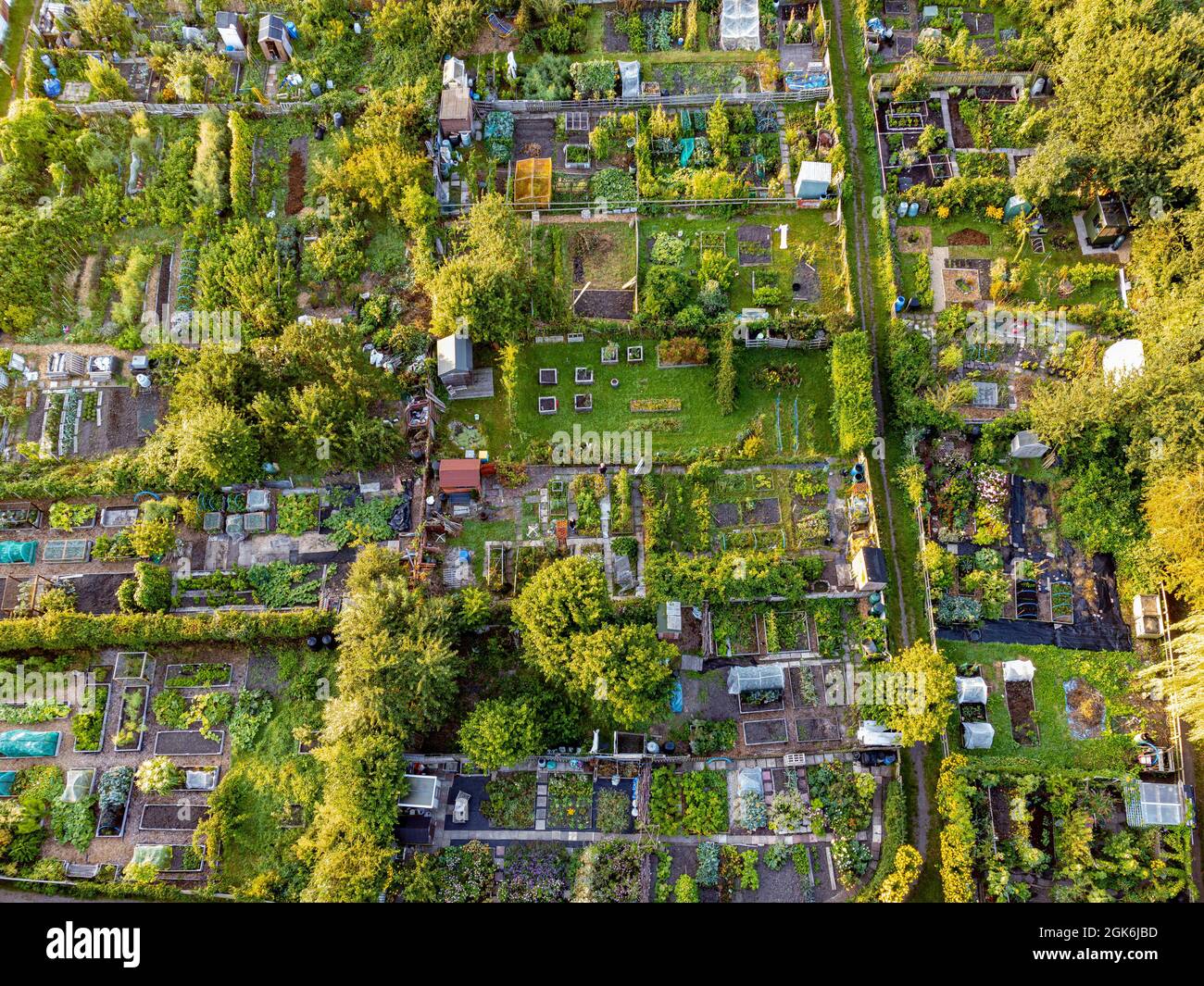 Aerial photo of allotment plots in York, North Yorkshire, UK Stock ...