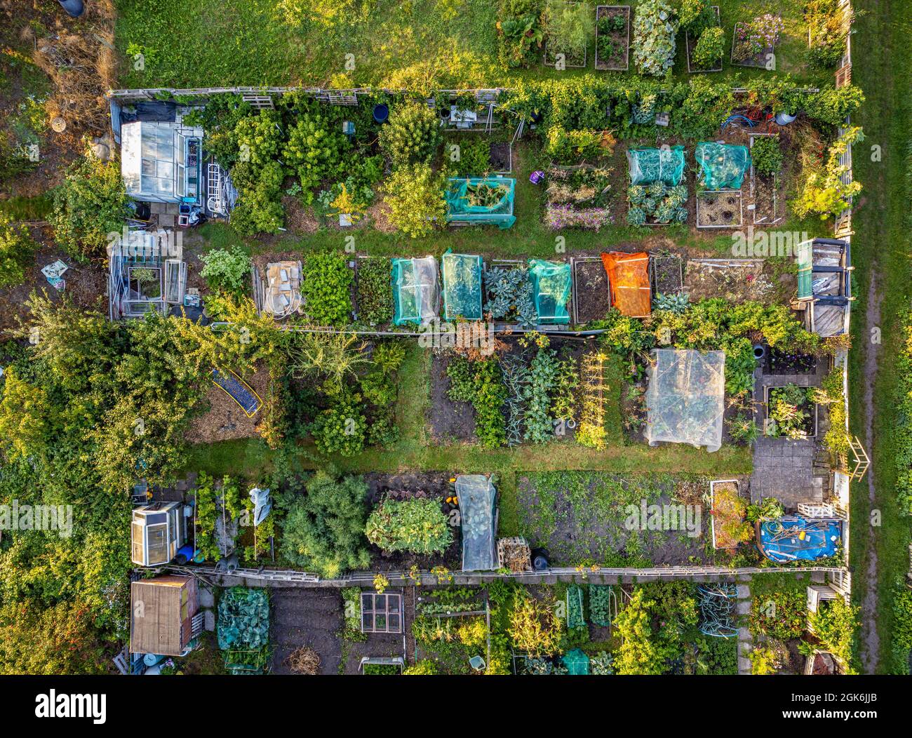 Allotment aerial uk hi-res stock photography and images - Alamy