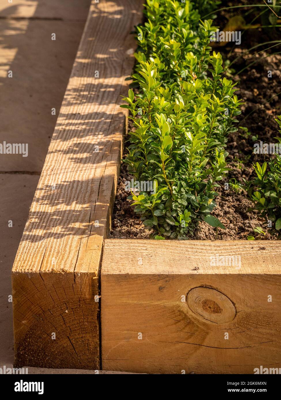 Buxus borders hi-res stock photography and images - Alamy