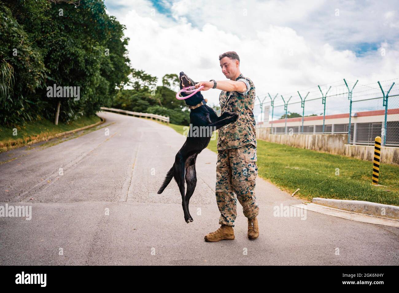 U.S. Marine Corps Cpl. Levi M. Smith, a military working dog (MWD ...
