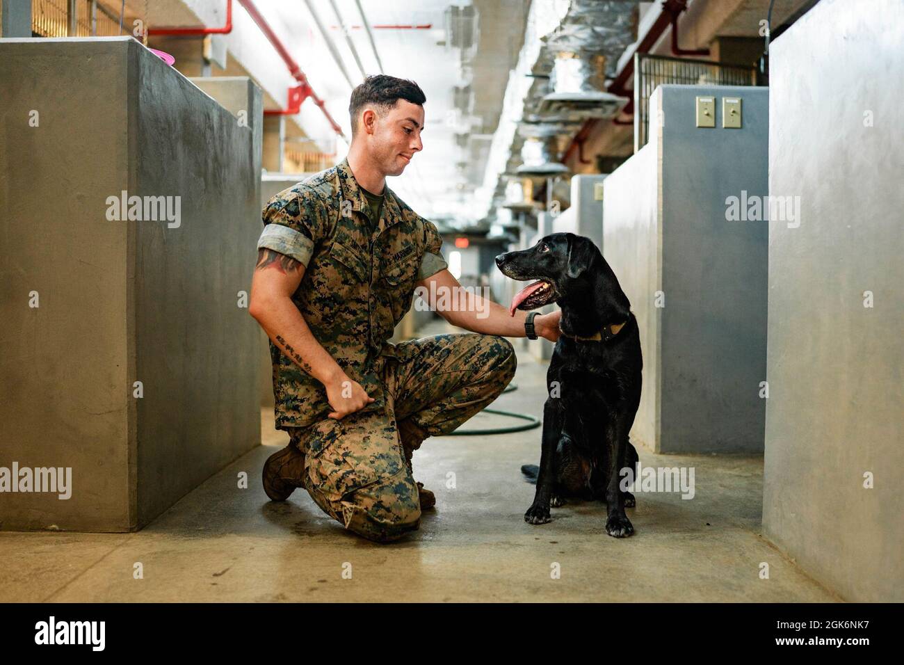 U.S. Marine Corps Cpl. Levi M. Smith, and his military working dog (MWD ...