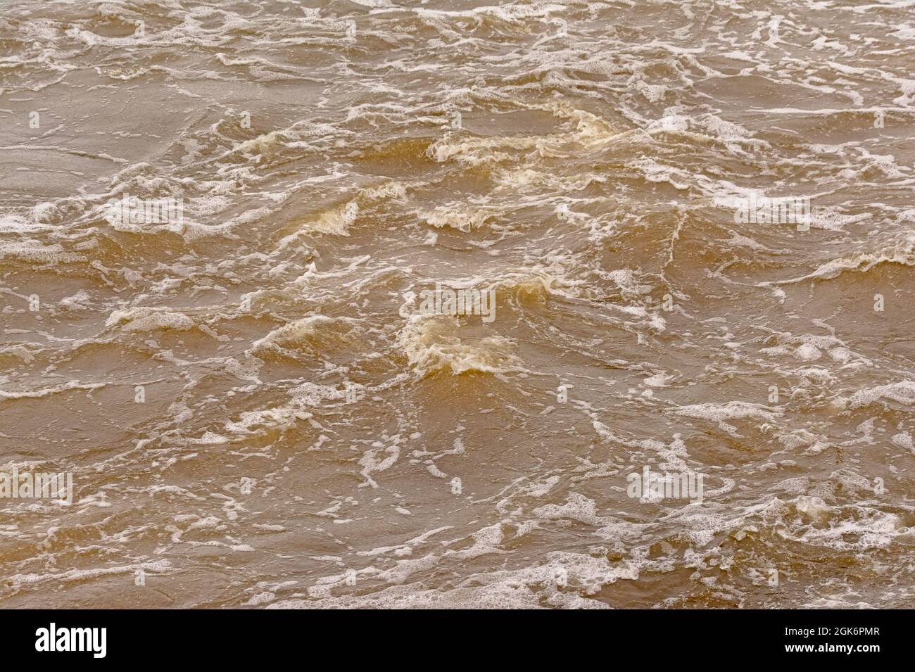 Muddy And The Surface Underwater
