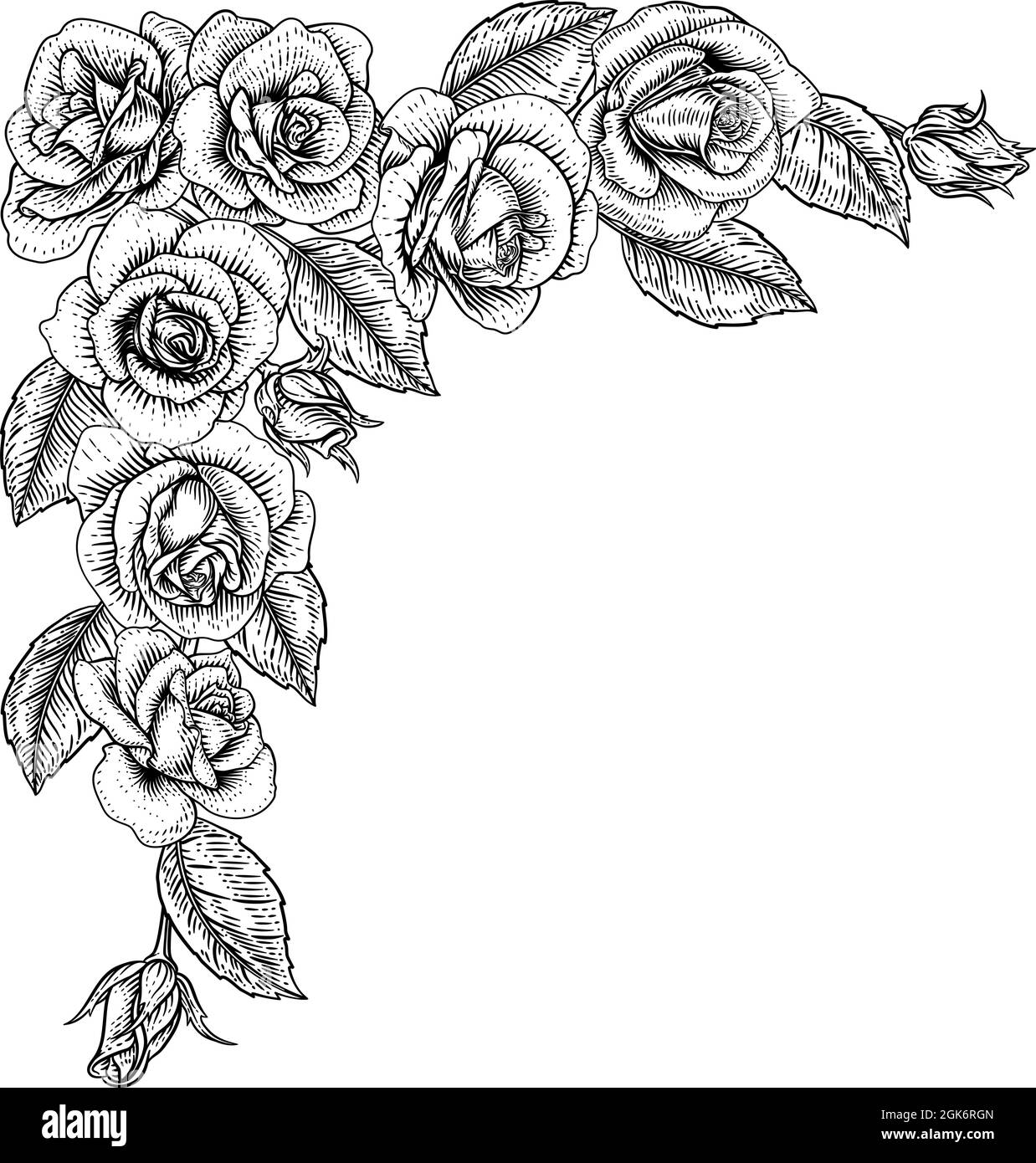 Vintage Roses Border