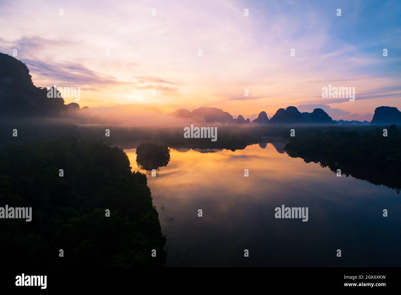 Dy Forest High Resolution Stock Photography and Images - Alamy