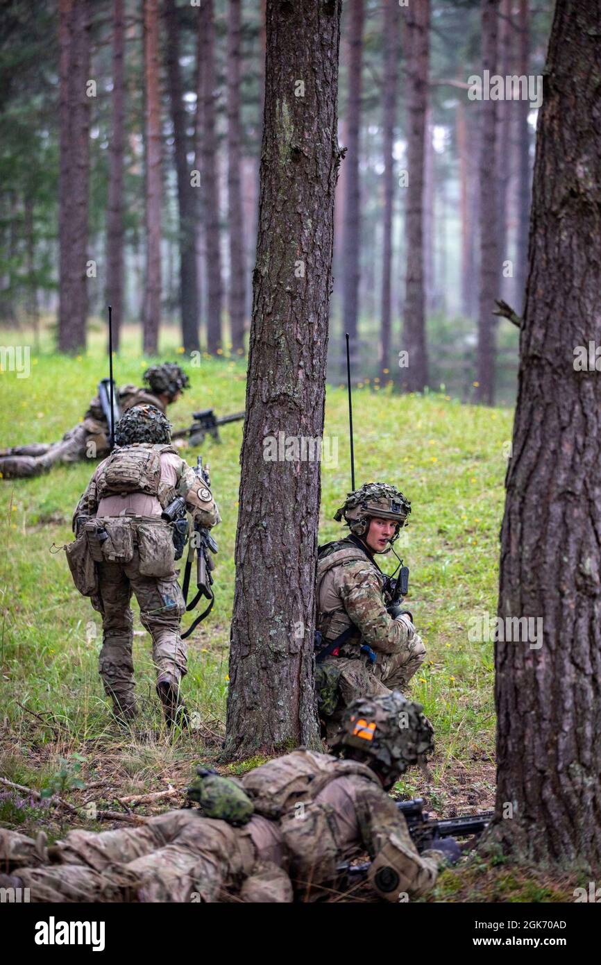 Danish Soldiers within Danish army's 2nd Armored Infantry Battalion ...
