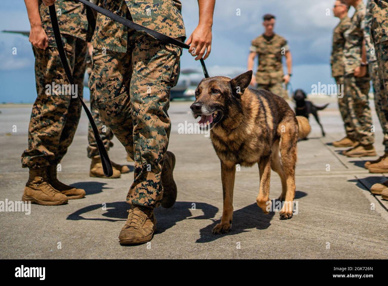 3rd le battalion hi-res stock photography and images - Alamy