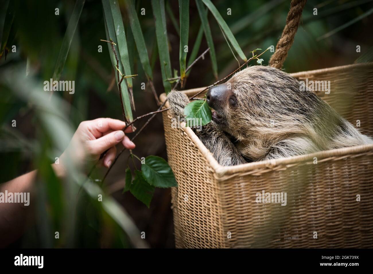 Edinburgh, UK. Mon 13 September 2021. Edinburgh Zoo celebrates the ...