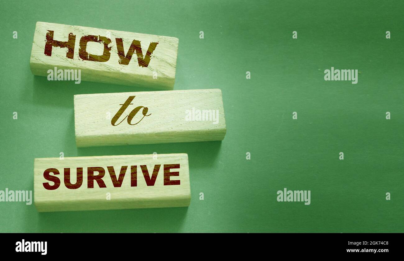 How to Survive words on wooden blocks. Surviving in wild nature concept ...