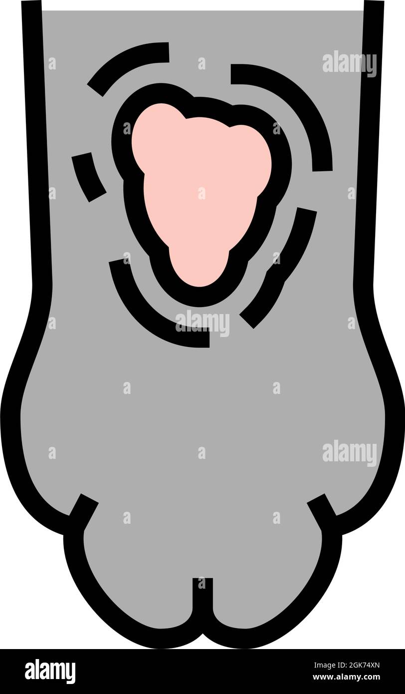 ringworm animal paw color icon vector illustration Stock Vector Image ...