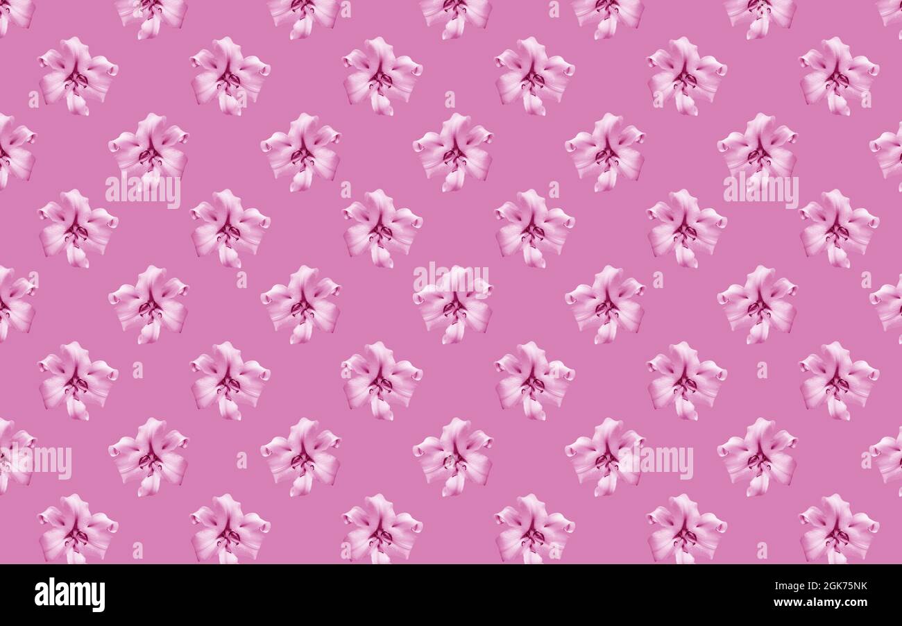 Illustration of a floral seamless pattern of light pink lilies on pink ...