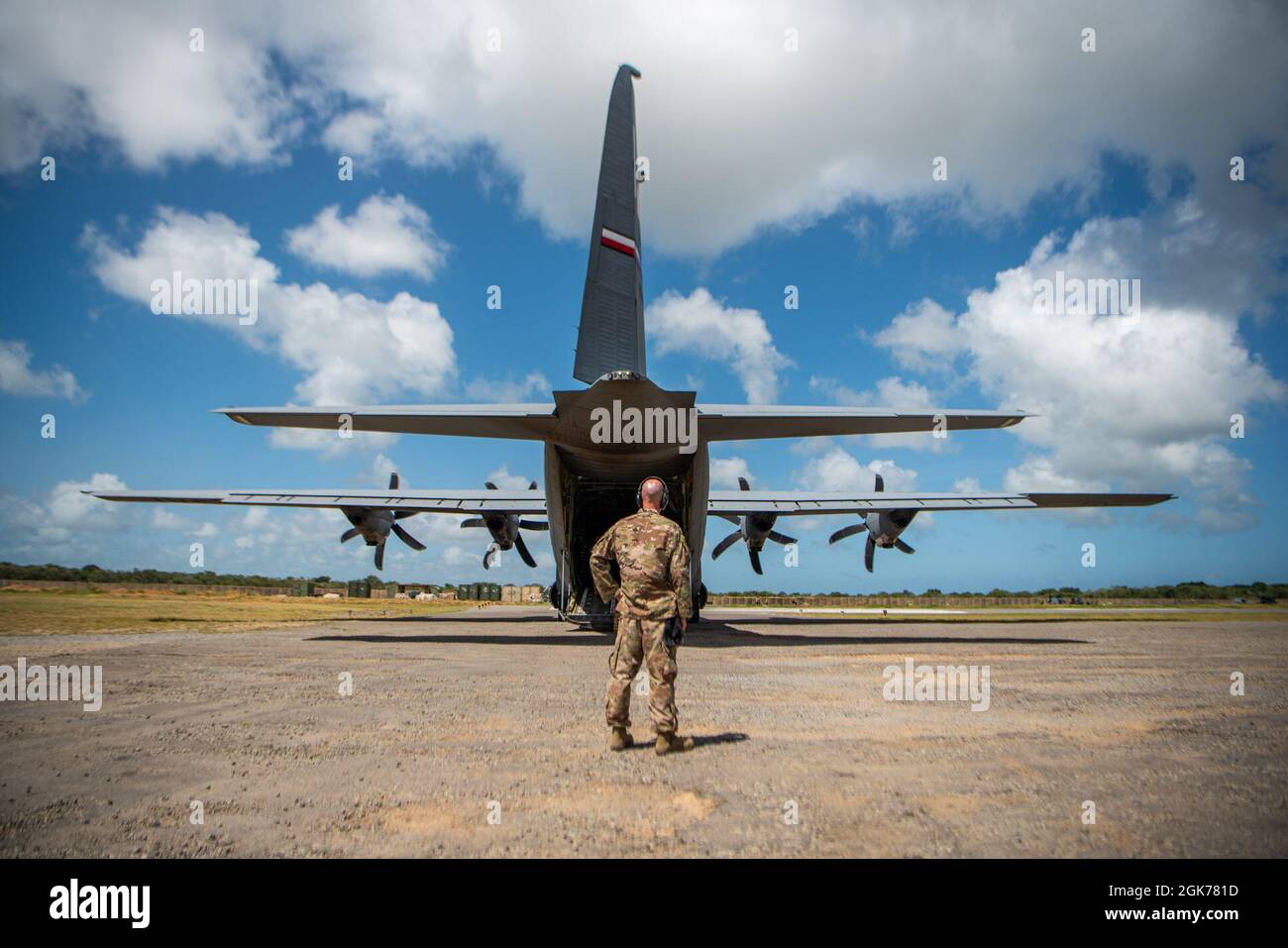 Amp simba hi-res stock photography and images - Alamy