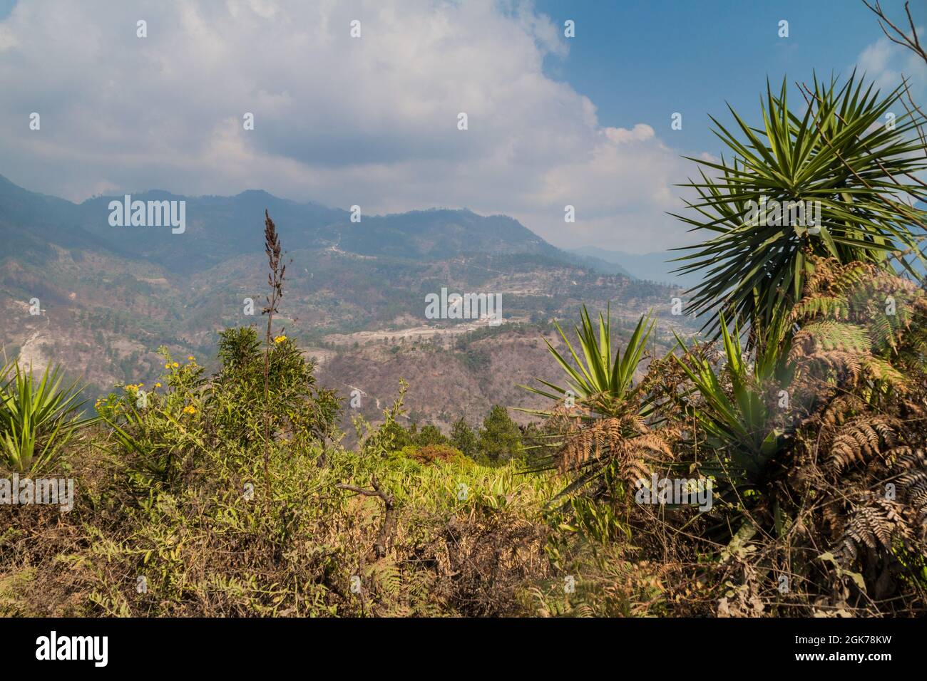 Landscape of Lempira department, Honduras Stock Photo - Alamy