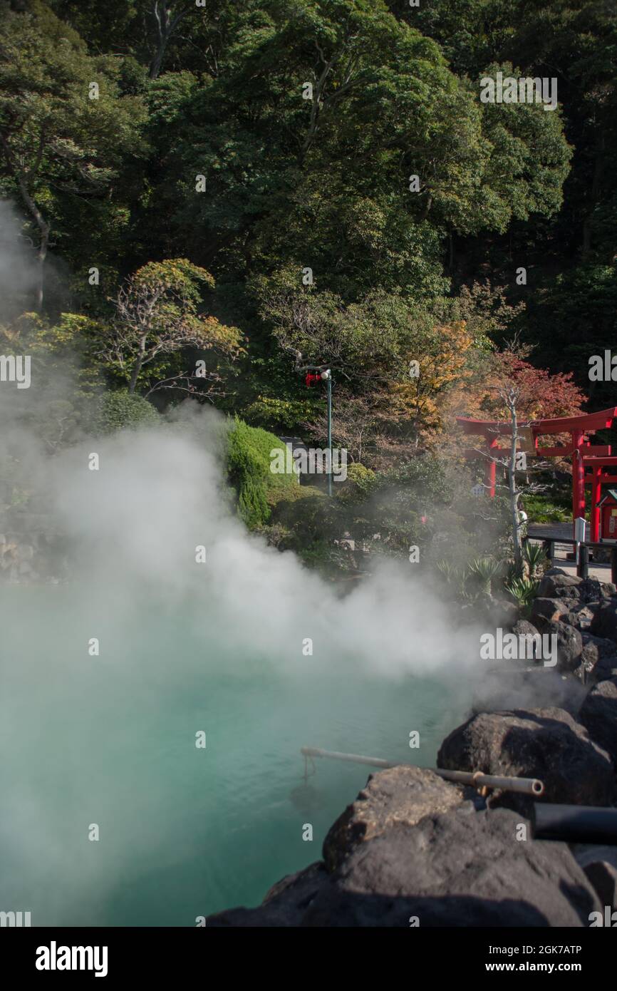 Geothermal, steam, rising, from, one, of, the, many thermal pools, at ...